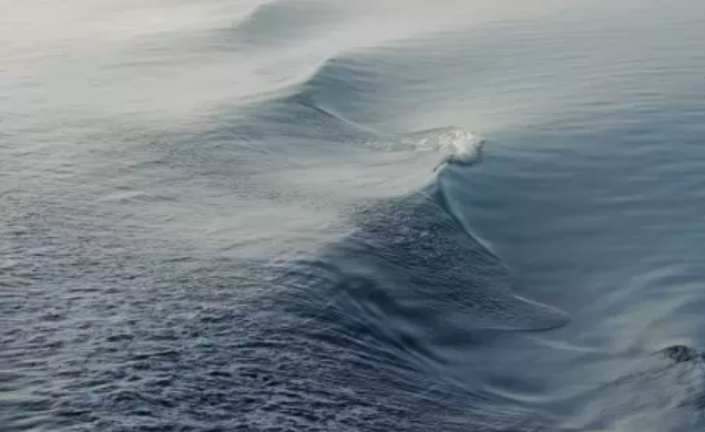 Berättelser om flykt | Arbetaren