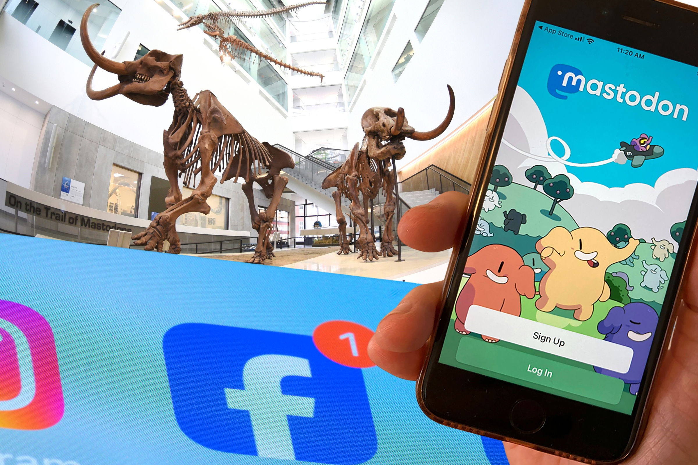 I stället för Facebook: Fediverse | Arbetaren